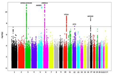 Perform Bioinformatics Data Visualization In R By M Sadaqat12 Fiverr