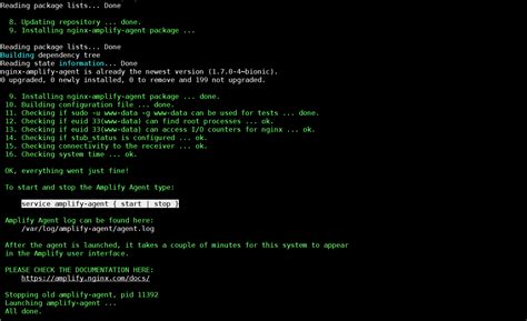 monitoring web server nginx dengan nginx amplify agent