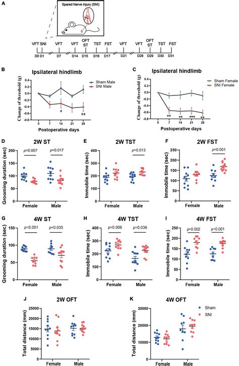 Frontiers Sex Specific Transcriptomic Signatures In Brain Regions