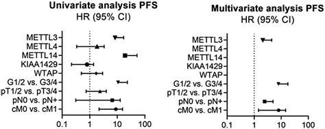 Forest Plot Analysis Of Univariate And Multivariate Cox Regression