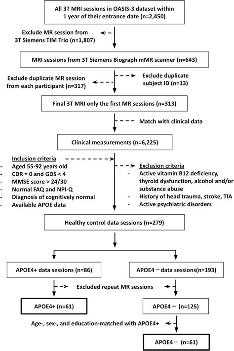 frontiers effect of sex on the apoe4 aging interaction in the white