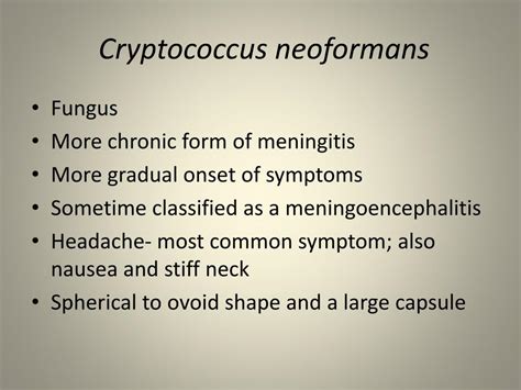 Ppt Microbiology A Systems Approach 2 Nd Ed Powerpoint