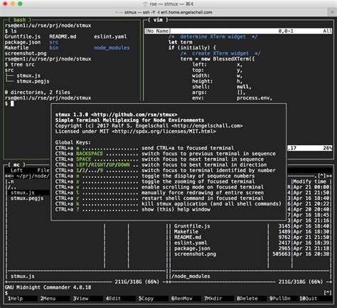 stmux npm