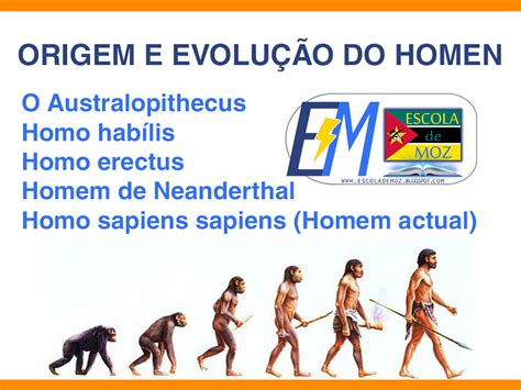Origem Do E EvoluÇÃo Do Homem