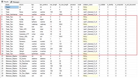 sql server how to identify columns and parameters data type for