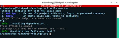 how to install sails js with npm codingster