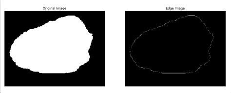 how do i crop an image using a binary mask image of the same picture to