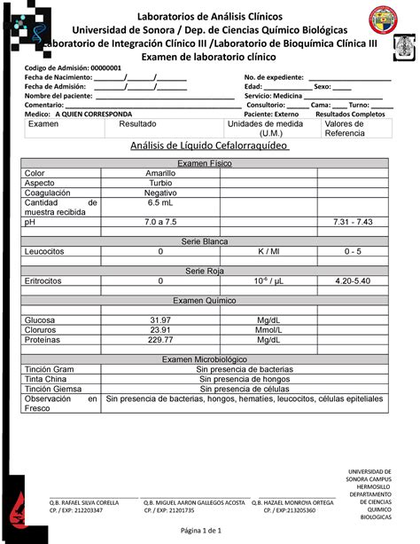 Ejemplo De Reportes De Laboratorio Image To U
