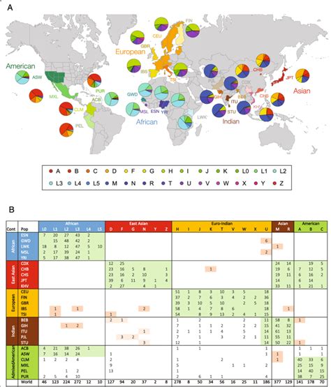 Global Distribution Of Mtdna Haplogroups A Map Showing The Names And