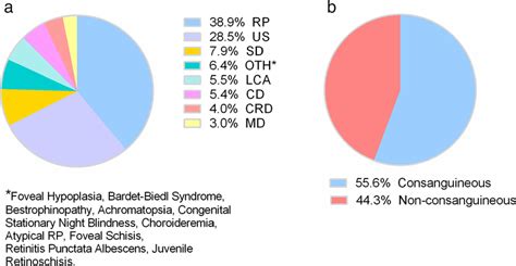 Inherited Retinal Disorder Demographics In The Patient Cohort Of 591