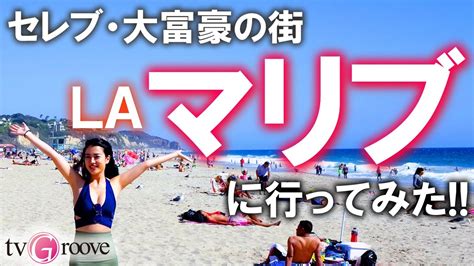 セレブ｜マドンナ15周年記念超大作！！ジャンボドリーム大共演！！ 100億を拾った男と10人の美熟女 人生逆転ハーレム豪遊生活 愛沢カリン