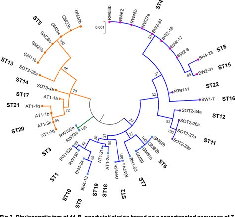 Figure 3 From Multilocus Sequence Typing Provides Insights Into The