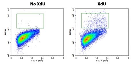 Bucculite Tm Flow Cytometric Xdu Cell Proliferation Assay Kit Blue