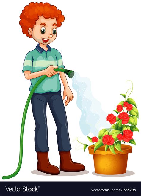 Man Watering Roses In Garden Royalty Free Vector Image