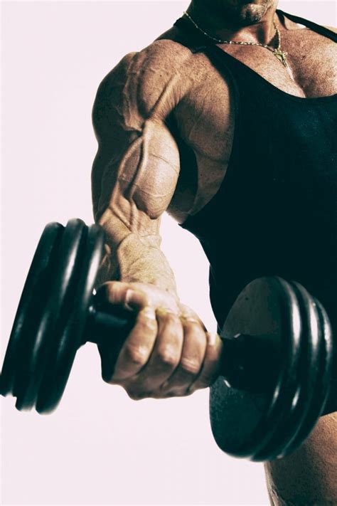 15 Best Bicep Building Exercises You Need To Know About Fit Bay