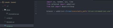python chromedriver exe executable may have wrong permissions