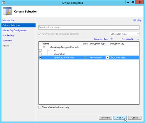 sql server always encrypted columns microsoft sql hostek community