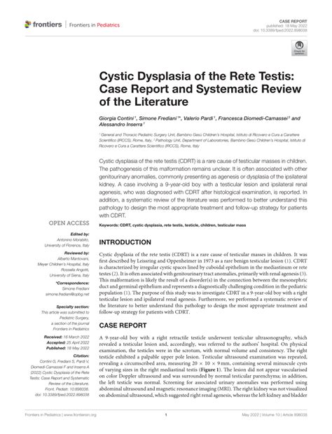 Pdf Cystic Dysplasia Of The Rete Testis Case Report And Systematic