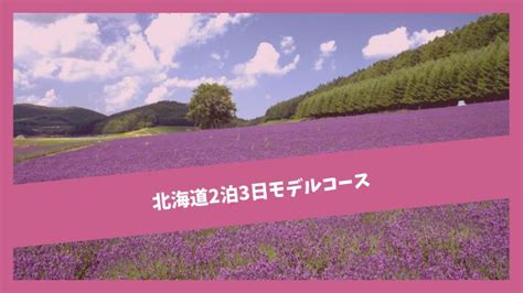 ジャパンワンダラー ページ 13 観光モデルコースと旅行ガイド