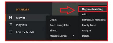 how to fix plex there was an unexpected error loading this library