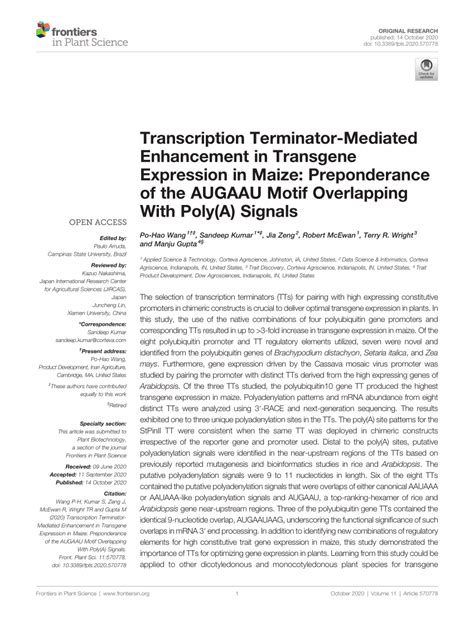 Pdf Transcription Terminator Mediated Enhancement In Transgene
