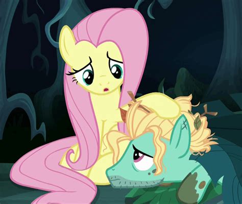 1170458 animated comforting flutter brutter fluttershy frown