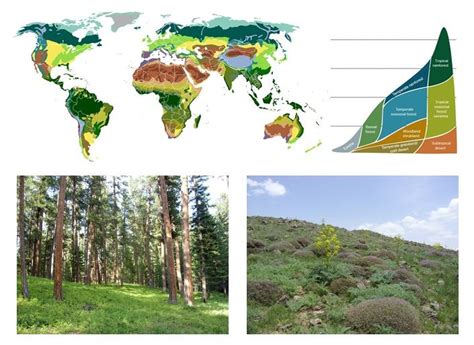 Vegetation Classification And Survey Vcs Is Inviting Proposals For A