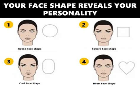 Personality Traits The Forehead Shape Analysis Revealed