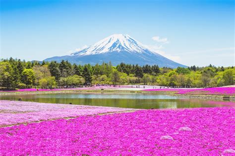 Detail Pemandangan Alam Terindah Di Jepang Koleksi Nomer 51