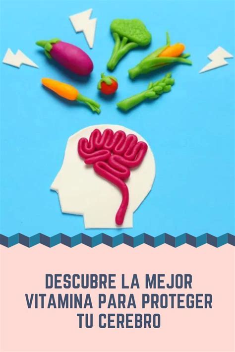 Mantén Tu Cerebro Joven Y Sano Gracias A Esta Vitamina Vitaminas B9