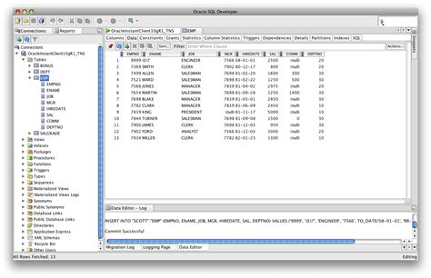 insert date oracle sql developer the best developer images