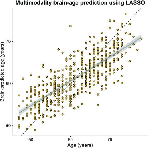 Brain Predicted Age From Multimodality Lasso Regression Model