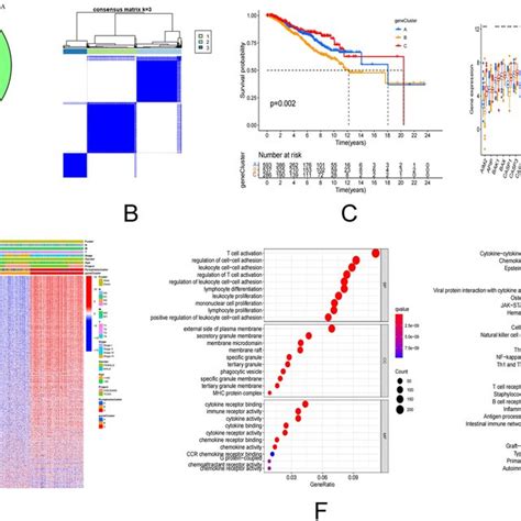 Gene Subtypes Based On Prgs A Venn Diagram Showing Degs For The