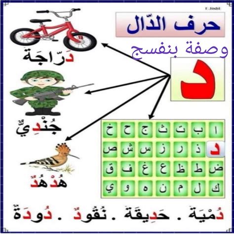 المنهج الجديد شرح حرف الدال لرياض الأطفال و الصف الأول الابتدائي