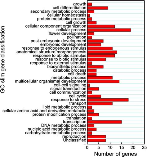 Gene Ontology Classification Of Potential Target Genes Cleaved By