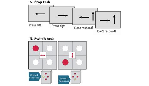 schematic illustration of the two fmri tasks a tracking stop task