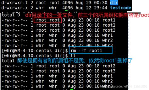 linux权限管理（文件权限与sudo用户权限提升） sudo 修改从容器里面拷贝出来的文件权限 csdn博客