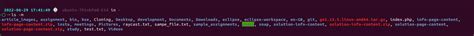linux ls command with examples