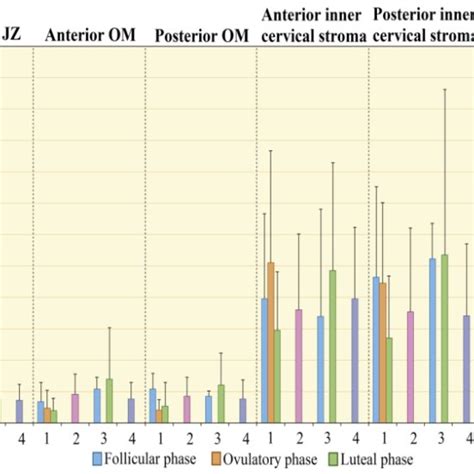 Example Of Perfusion Assessment By Dynamic Contrast Enhanced Magnetic