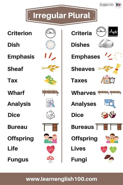 The List Of Most Common Irregular Plural Nouns In English And Their