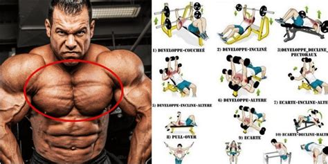 Build Powerful Pecs With These Chest Exercises