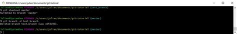 tutorial de git para principiantes ionos