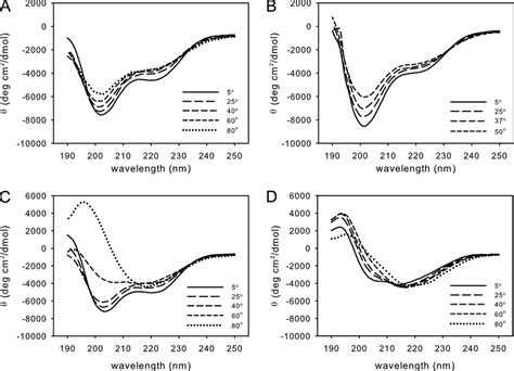 Effect Of Tyrosine And Alanine Substitutions On Secondary Structure Of