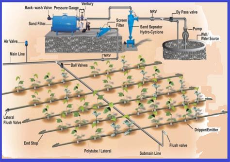 Different Types Of Irrigation Irrigation Storage Systems Type Of
