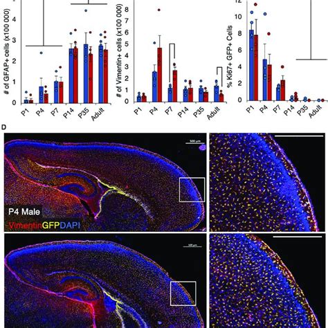annotations derived from single cell chromatin accessibility of