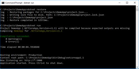 create request pipeline using asp core custom middleware