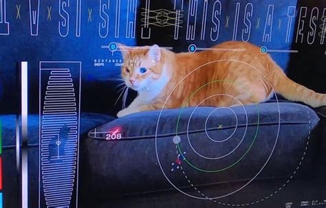 Nasa Streams Cat Video From Deep Space Using Laser
