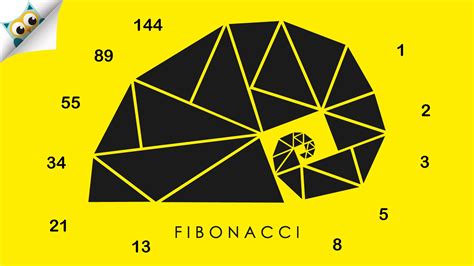 what is fibonacci series fibonacci series