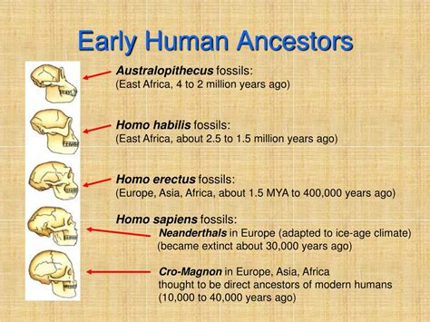Ppt Evolution Powerpoint Presentation Free Download Id 1174733