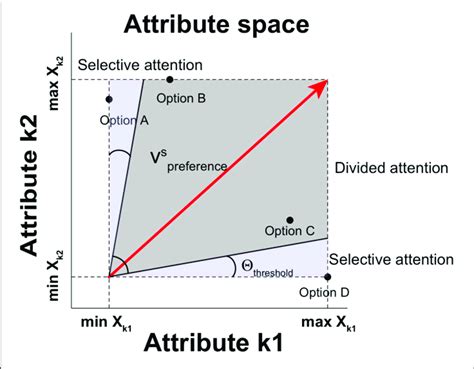 selective and divided attentional control in attribute space